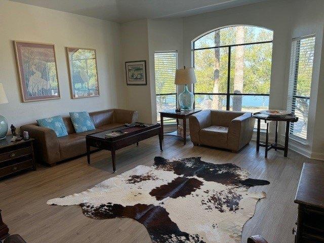 2 bedroom, Kemah TX 77565 LS94100471