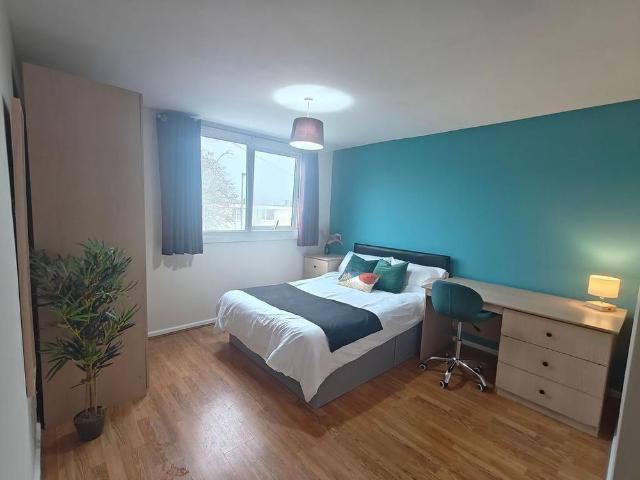 2 bedroom house share to rent