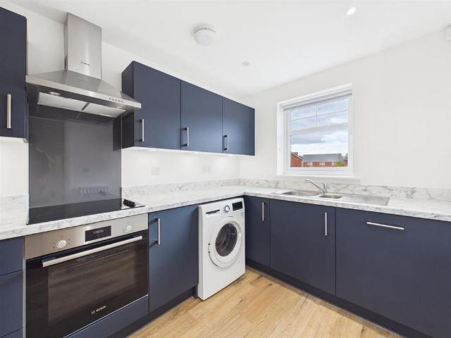 2 bedroom house to rent