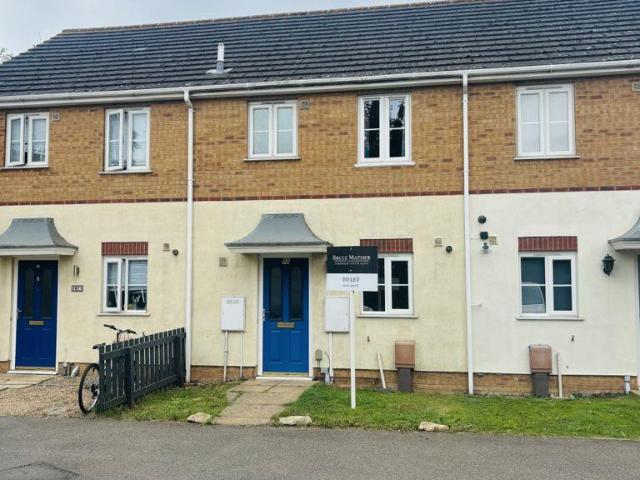 2 bedroom house to rent