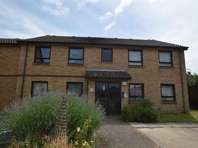 2 bedroom house to rent