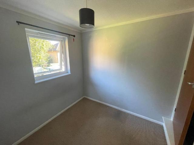 2 bedroom house to rent