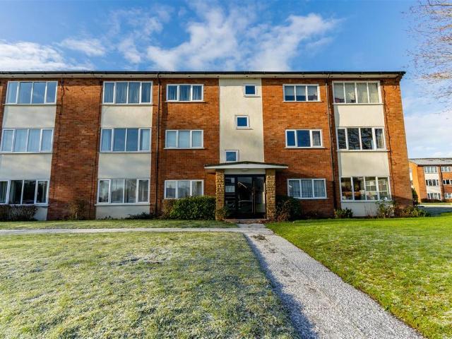 2 bedroom house to rent