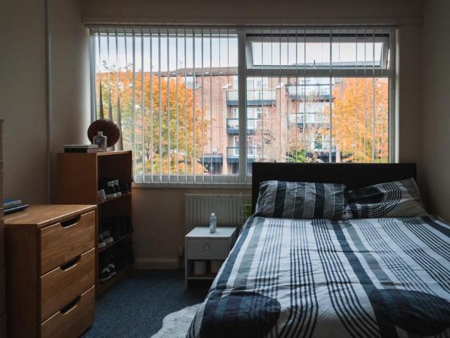 2 bedroom house to rent