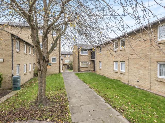 2 bedroom house to rent