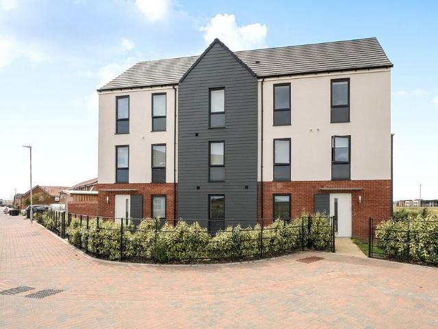 2 bedroom house to rent