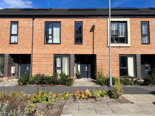 2 bedroom house to rent