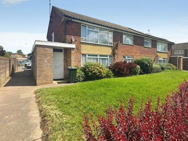 2 bedroom house to rent