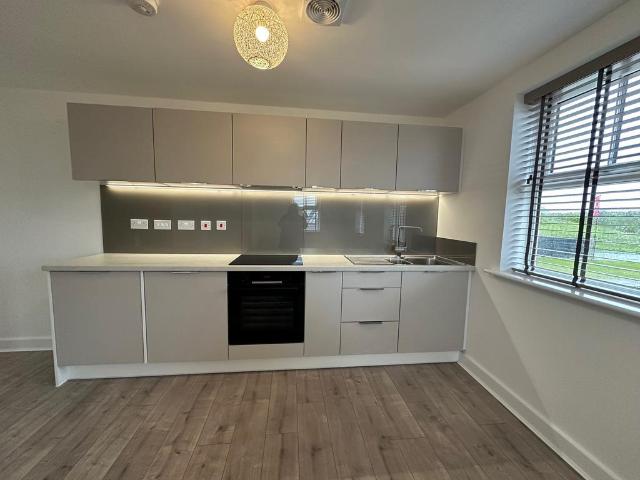 2 bedroom house to rent