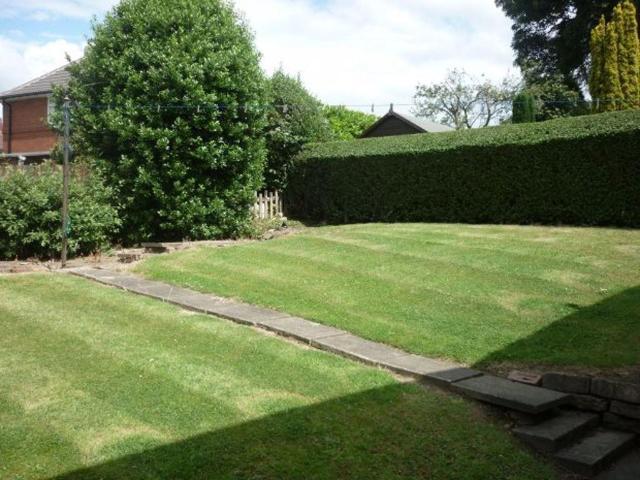2 bedroom house to rent