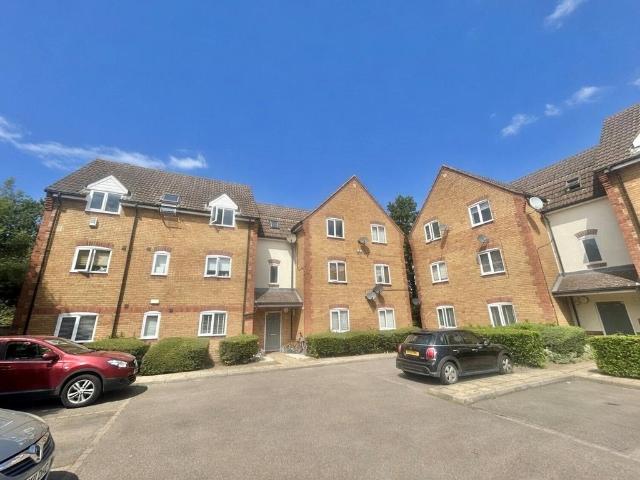 2 bedroom house to rent