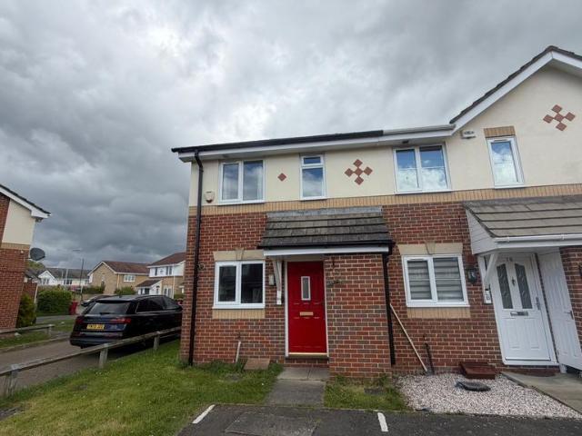 2 bedroom house to rent