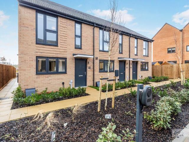 2 bedroom house to rent