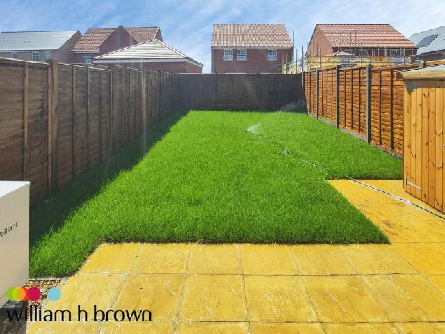 2 bedroom house to rent