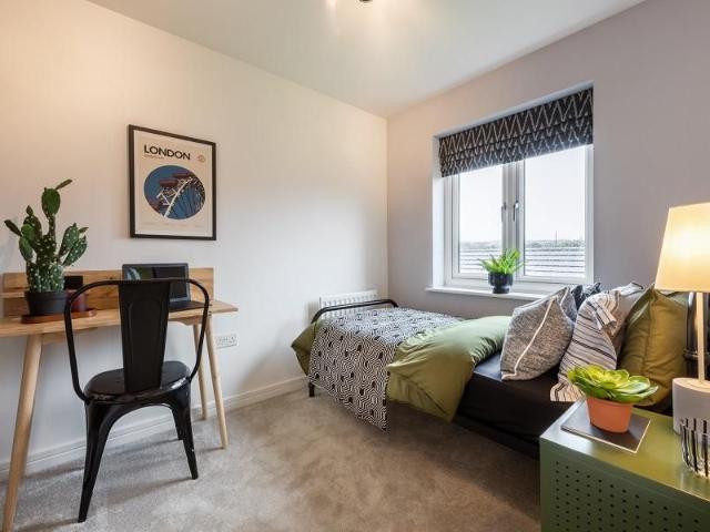 2 bedroom house to rent