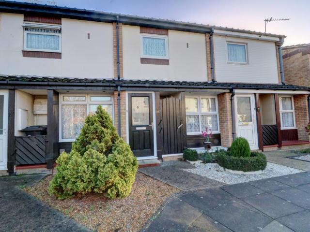 2 bedroom house to rent