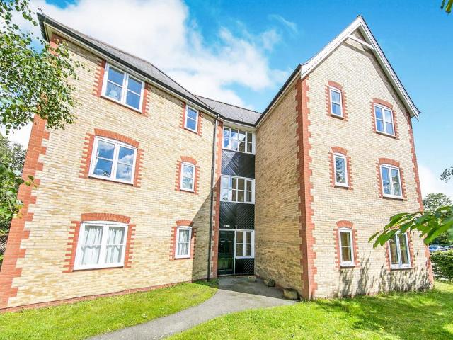 2 bedroom house to rent
