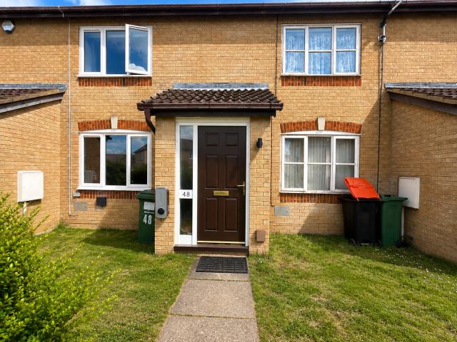 2 bedroom house to rent