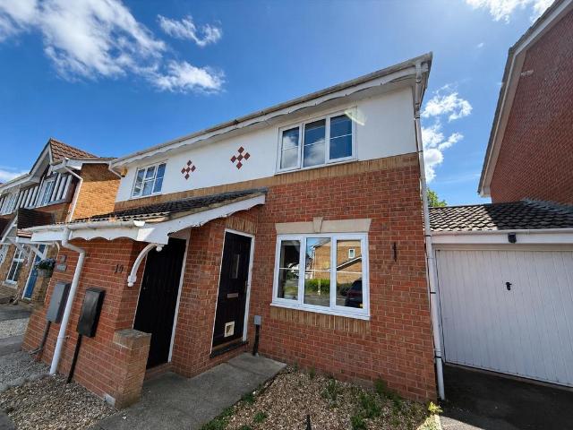 2 bedroom house to rent