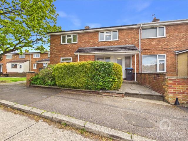2 bedroom house to rent