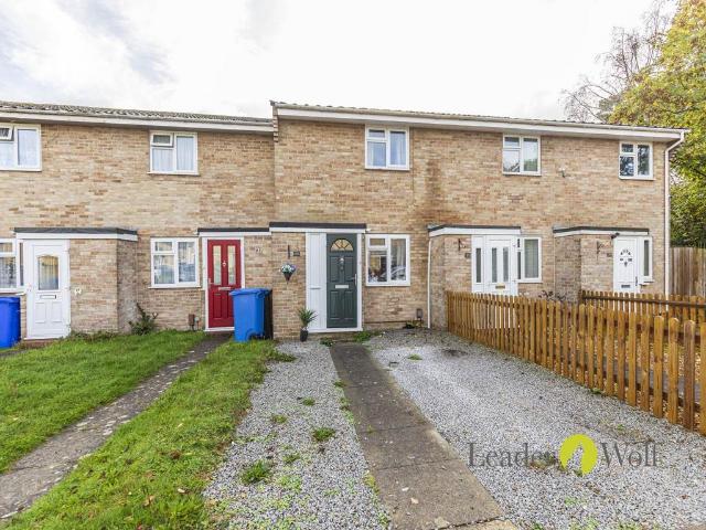 2 bedroom house to rent