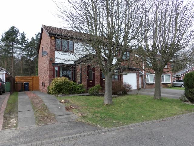 2 bedroom house to rent