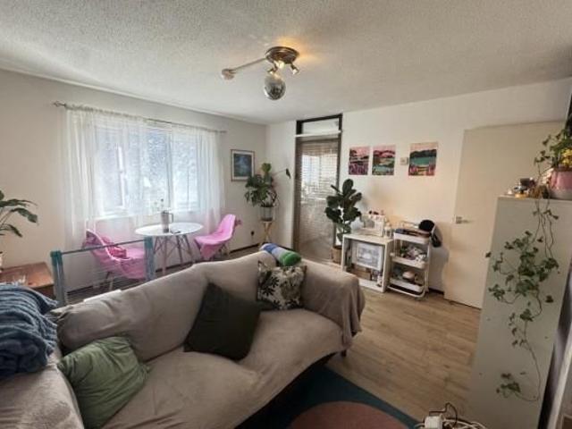 2 bedroom house to rent