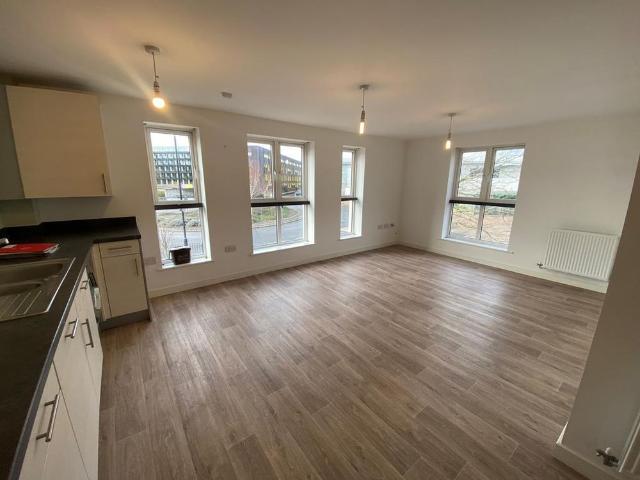 2 bedroom house to rent