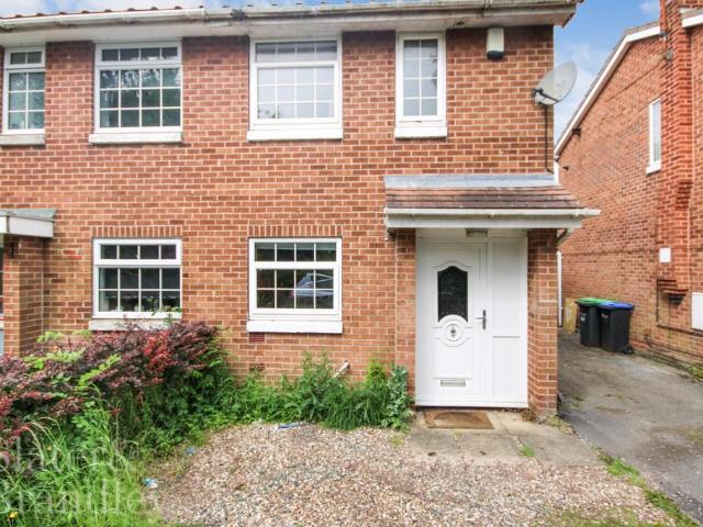 2 bedroom house to rent