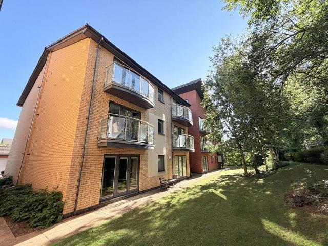 2 bedroom house to rent