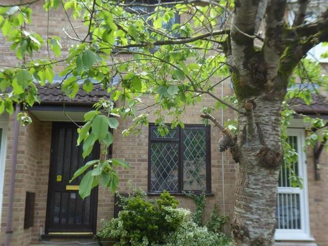 2 bedroom house to rent