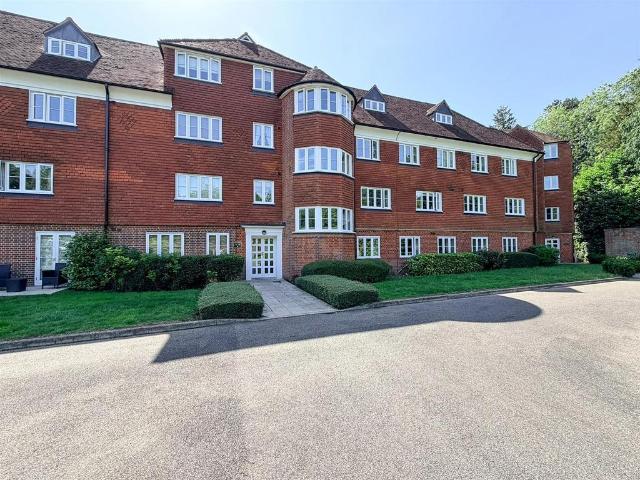 2 bedroom house to rent