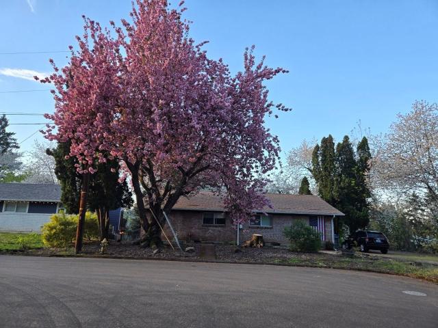 2 Bedroom Home for Rent at 4012 E 16th St, Vancouver, WA 98661 Harney Heights