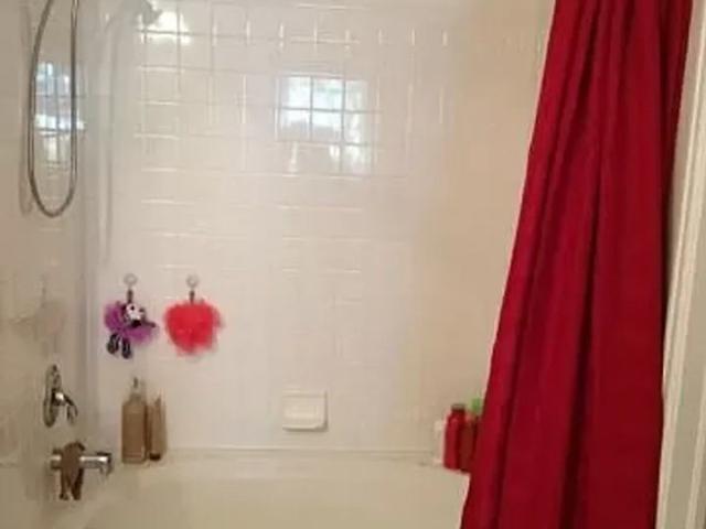 2 Bedroom Home for Rent at 4685 Hahns Peak Dr, Loveland, CO 80538