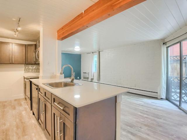 2 Bedroom Home for Rent at 1343 N High St, Denver, CO 80218 Cheeseman Park