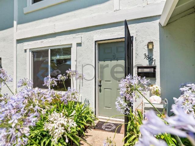 2 Bedroom Home for Rent at 38551 Royal Ann Cmn, Fremont, CA 94536 Cherry Guardino