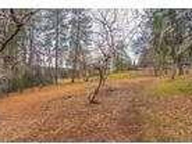 2 Bedroom Homes For Rent Placerville CA