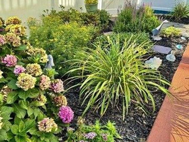 2 bedroom, Hull MA 02045 105095251