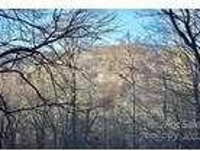 2 bedroom in Mars Hill North Carolina 28754