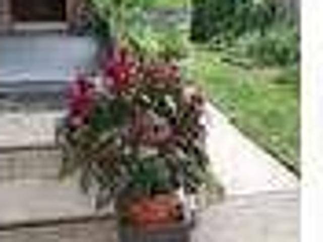 2 bedroom in Philadelphia PA 19144