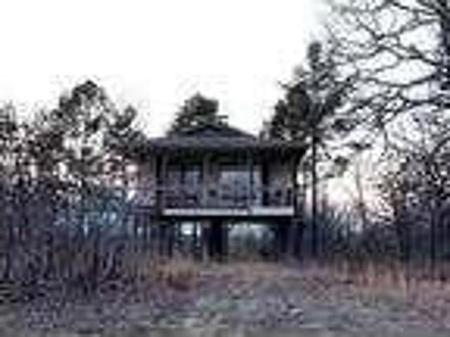 2 bedroom in Theodosia Arkansas 65761