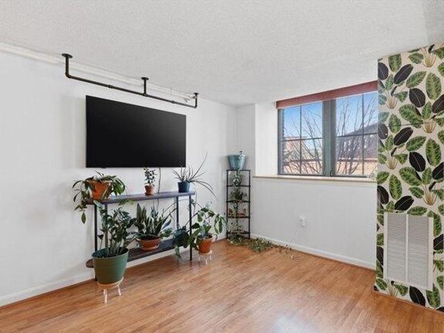 2 bedroom, Lowell MA 01852 104653471