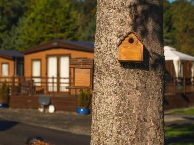 2 bedroom lodge for sale