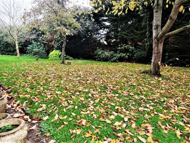 2 bedroom maisonette to rent