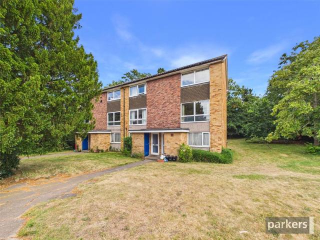 2 bedroom maisonette to rent