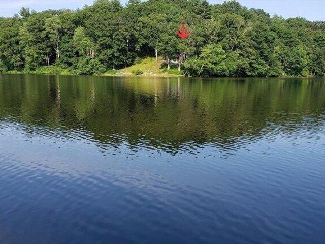 2 bedroom, Norfolk MA 02056 104374793