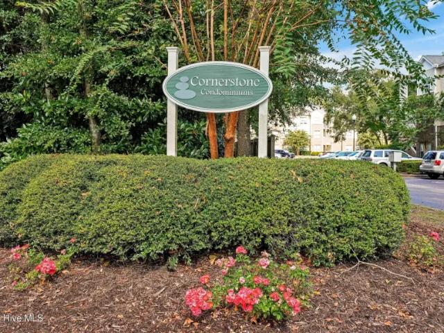 2 bedroom, NC NC 102468888