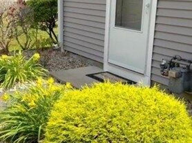 2 bedroom, New Britain CT 06053 104149541