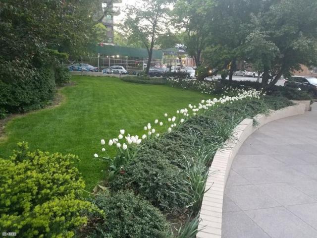 2 bedroom, New York NY 10128 57109715