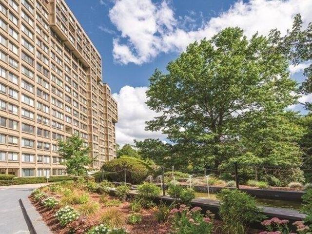 2 bedroom, Newton MA 02467 102960108